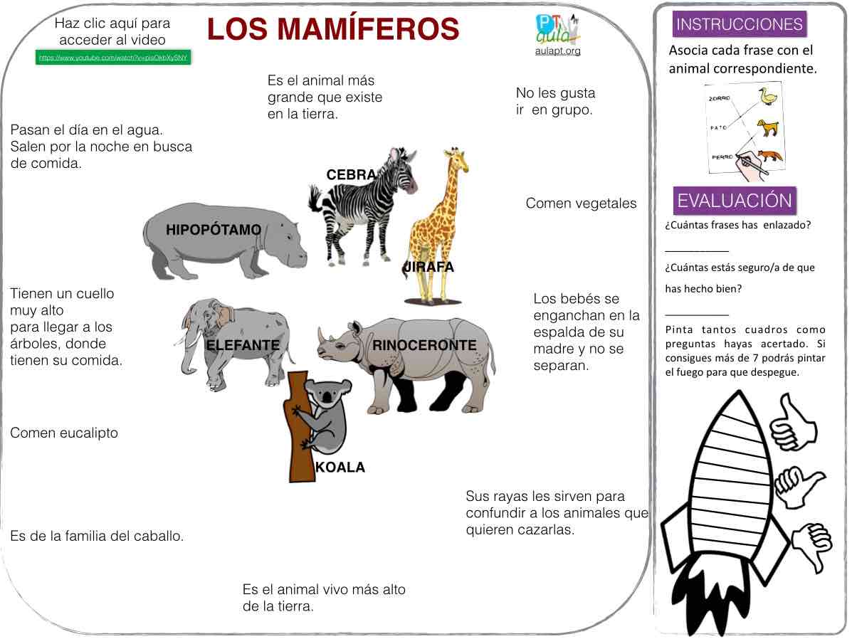 LOS MAMÍFEROS. TAREA DE COMPRENSIÓN ORAL Y ESCRITA CON AUTOEVALUACIÓN Y ...