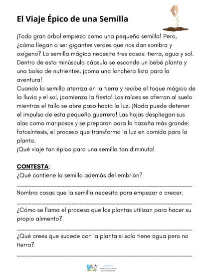 Comprensión lectora: «El Viaje Épico de una Semilla».