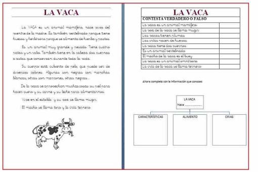 COMPRENSIÓN-LECTORA-ANIMALES-510x340.jpg - Aula PT