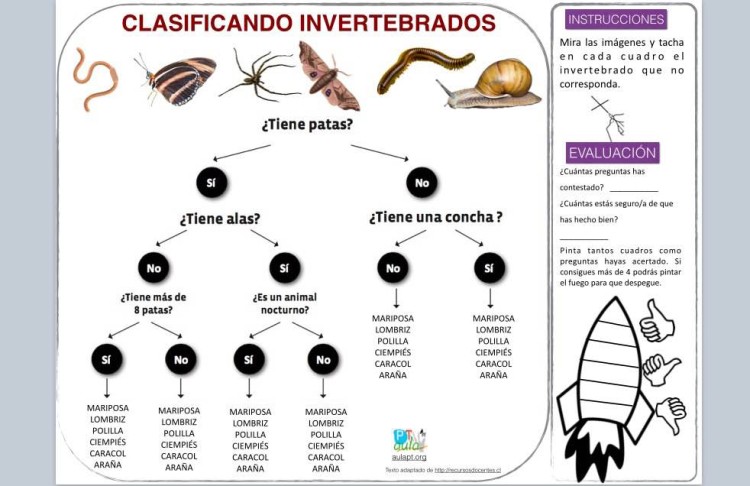 invertebrados1-750x486.jpg - Aula PT