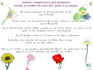 Las-flores-lectura-comprensiva-de-frases-300x226 - Aula PT
