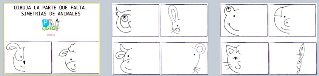 simetría-animales - Aula PT